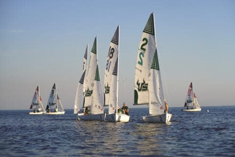 A Rising Tide - St. Pete Life Magazine